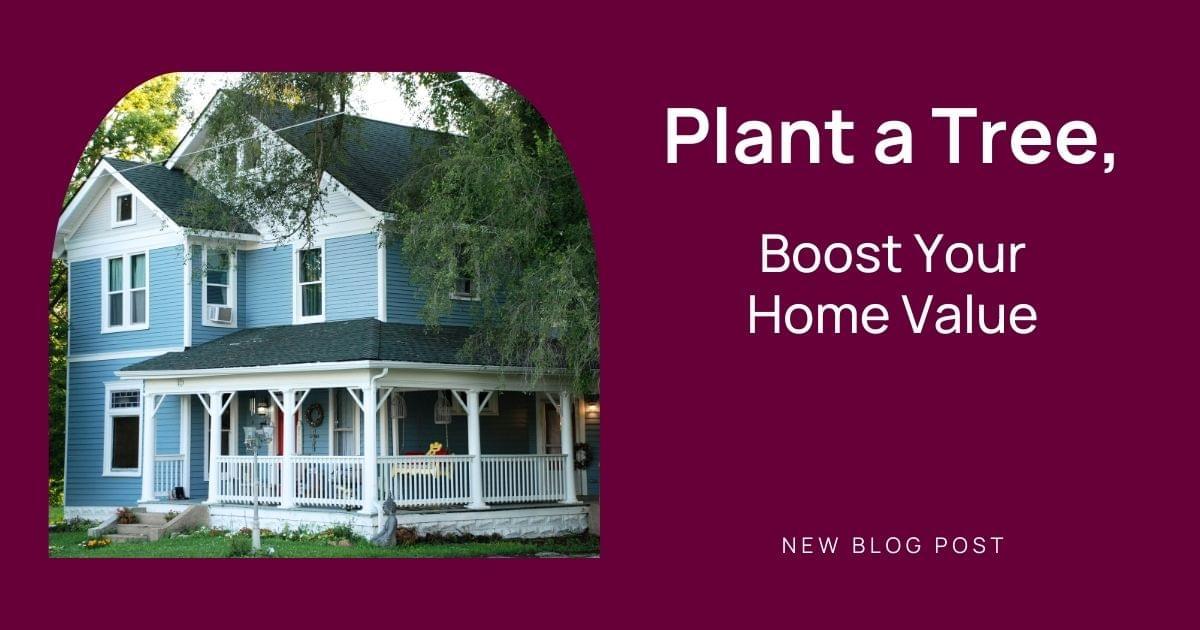 Plant a Tree, Boost Your Home Value