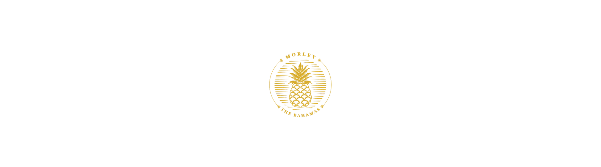 Pineapple Post Vol 11.28.25